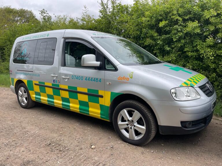 Animal Ambulance