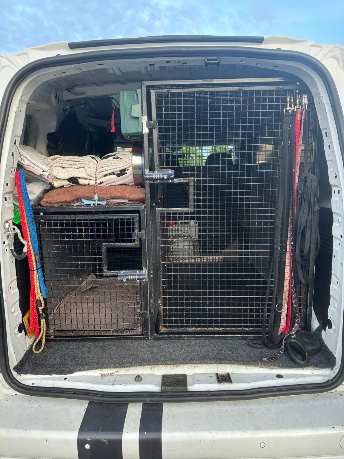 Animal Ambulance